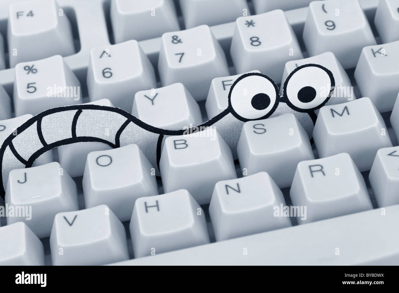 Worm and computer keyboard, concept of Security, Virus Stock Photo - Alamy