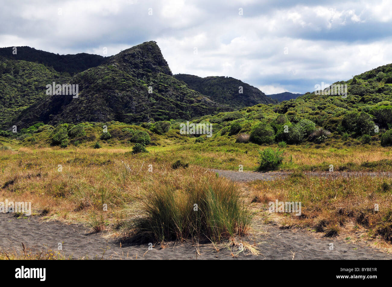 Waitakere Ranges In Auckland High Resolution Stock Photography and ...