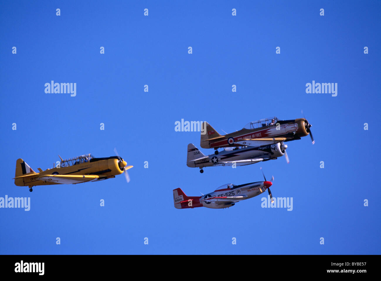 T-6 Texan (aka Harvard Mk IV) and P-51D Mustang flying, Abbotsford ...