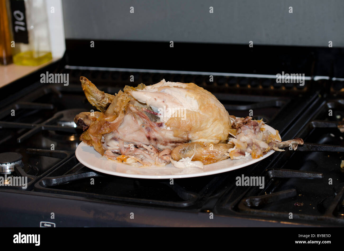 Salmonella Food Poisoning Bacteria High Resolution Stock Photography ...