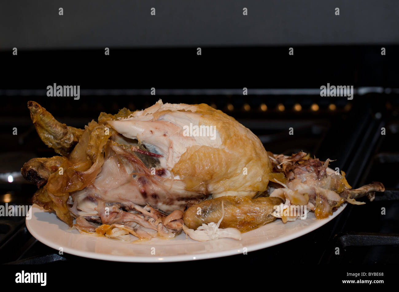 Salmonella Food Poisoning Bacteria High Resolution Stock Photography ...