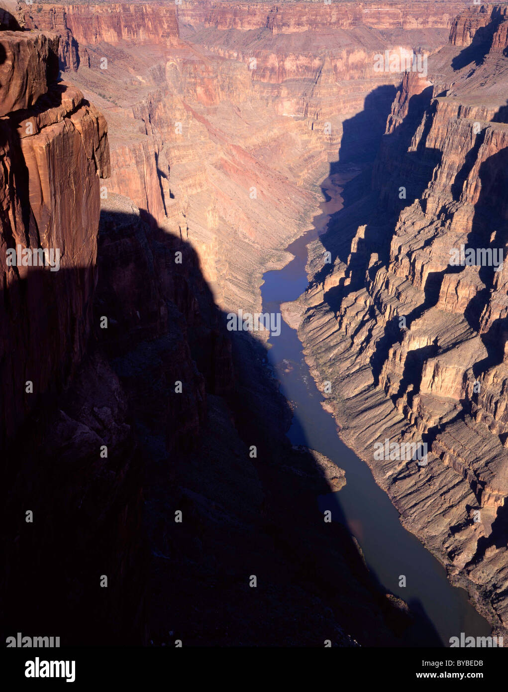 Colorado river from tuweep overlook hi-res stock photography and images ...