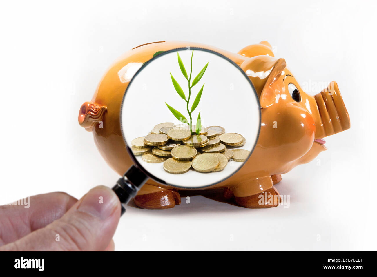 Symbolic image for slowly growing savings Stock Photo - Alamy