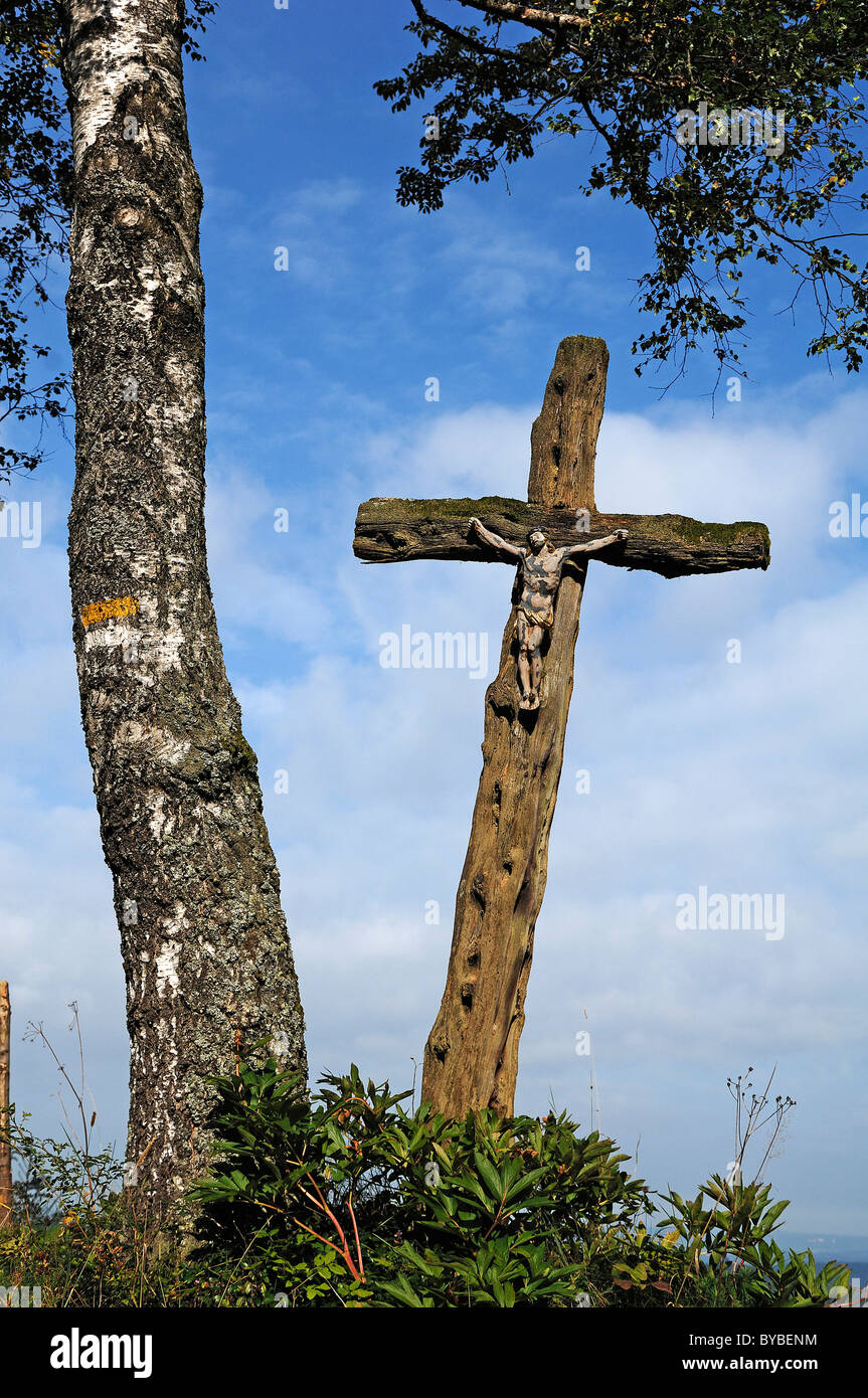 Weather-beaten figure of Christ on a cross next to an old tree birch ...