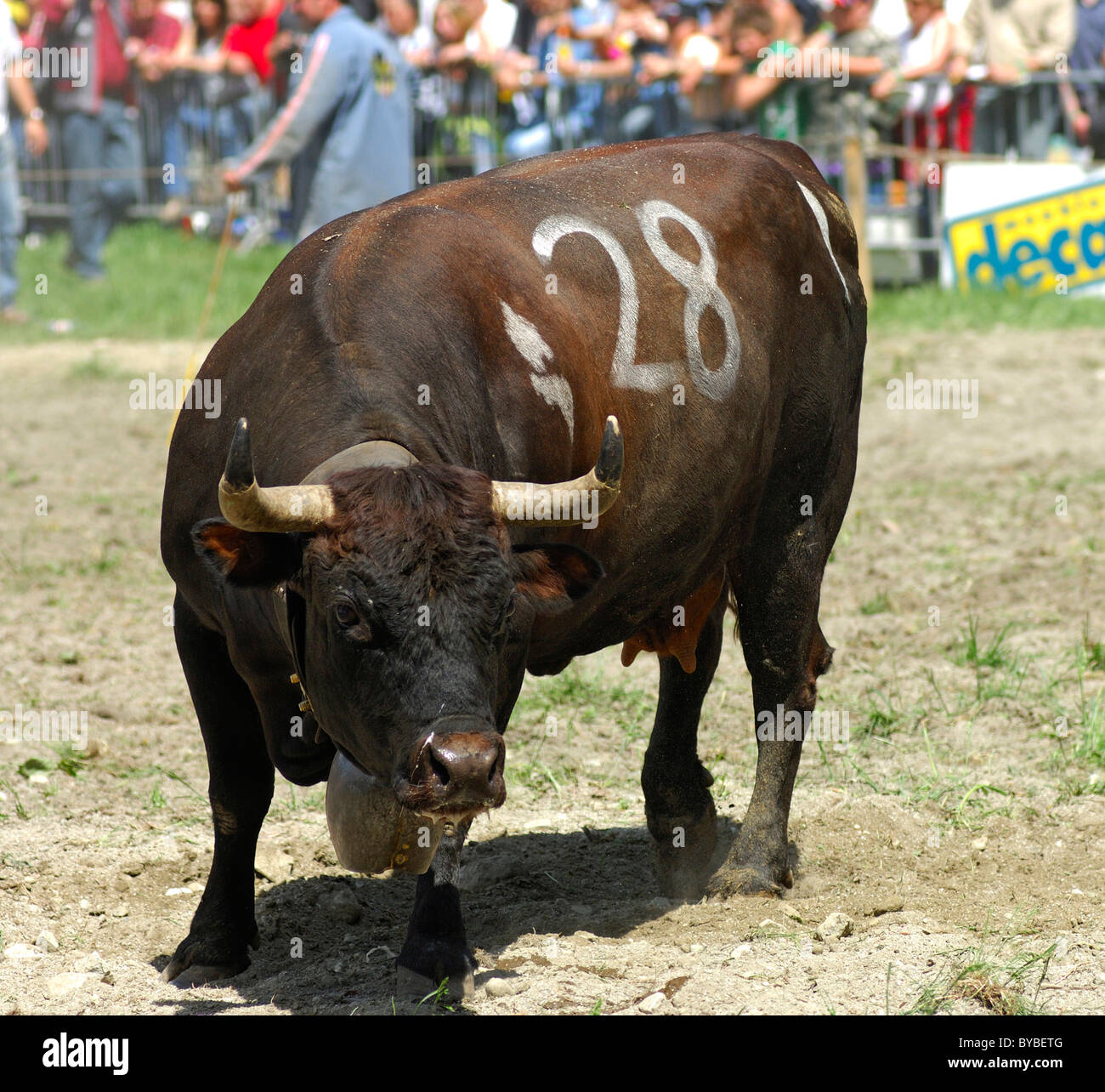 Battle arena hi-res stock photography and images - Alamy