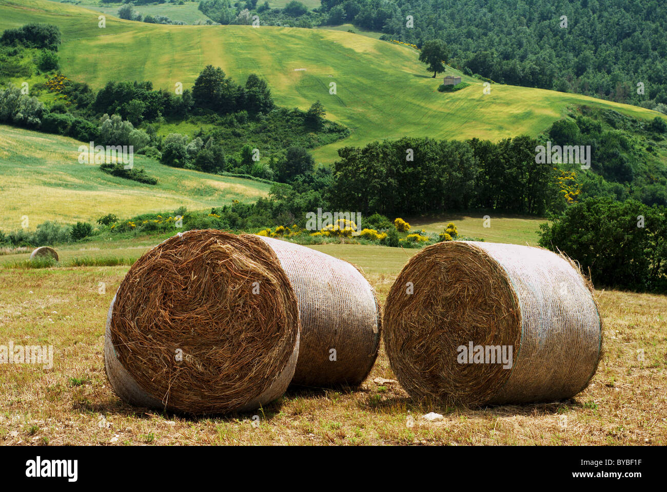 Rural landscape with hay bales Stock Photo - Alamy