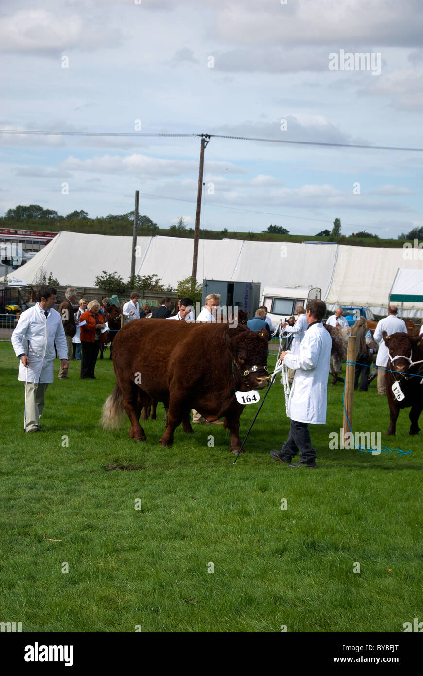 Newbury showground hi-res stock photography and images - Alamy