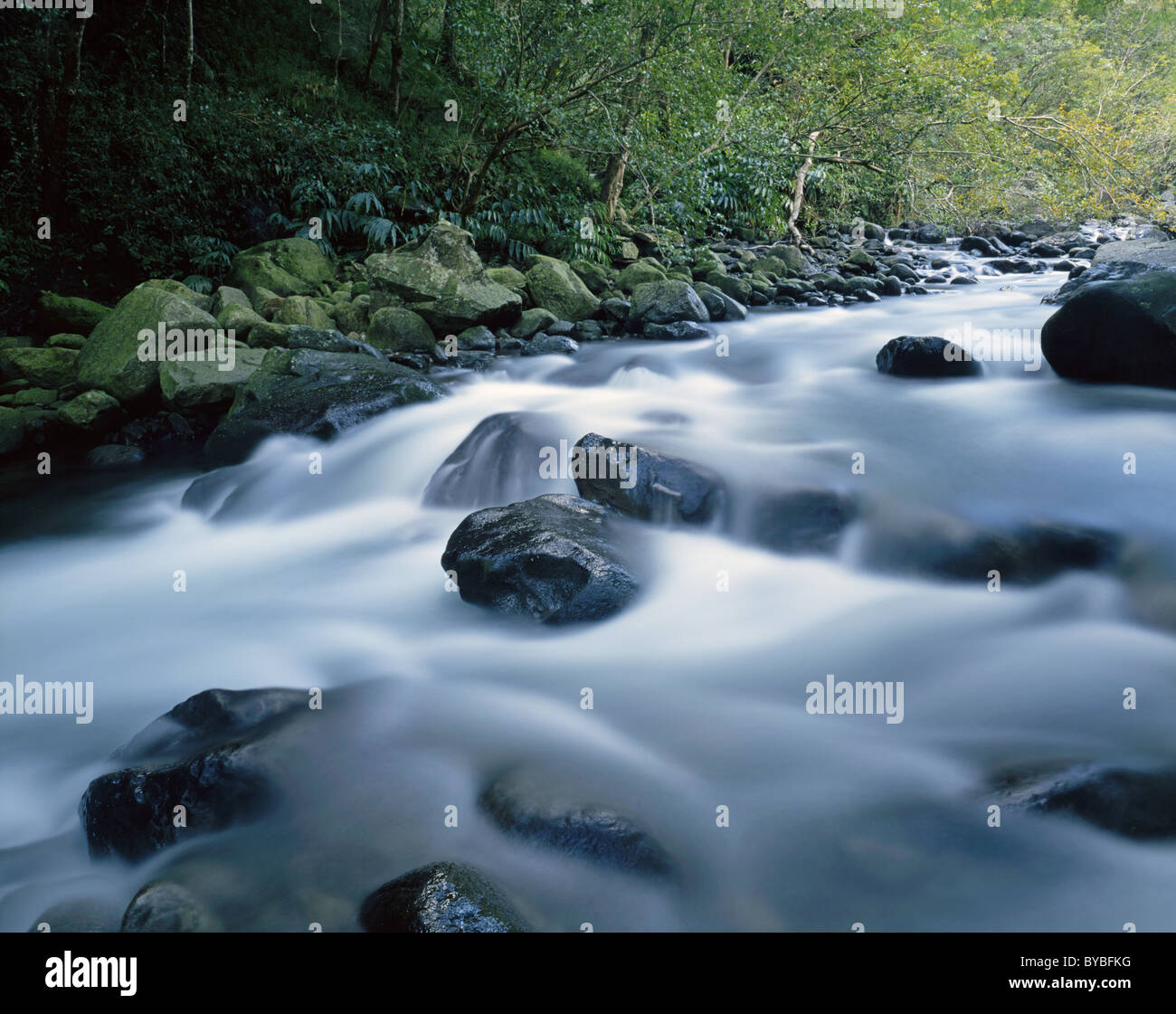 Iao valley state monument hi-res stock photography and images - Alamy