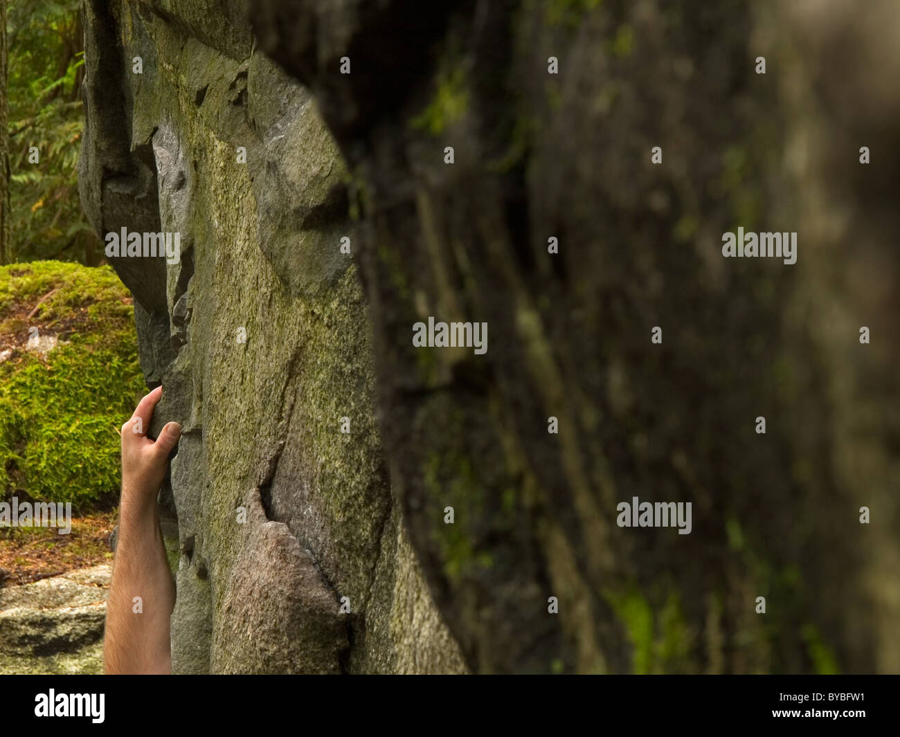 Hanging onto rocks Stock Photo - Alamy