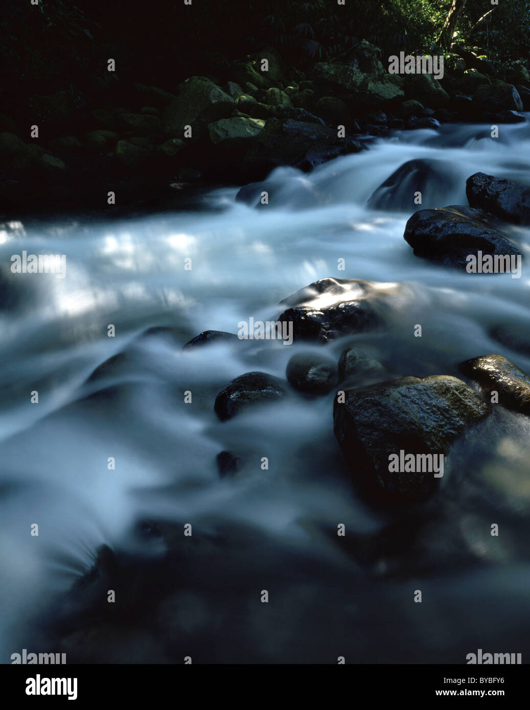Iao Stream, Iao Valley State Monument, Maui, Hawaii Stock Photo - Alamy