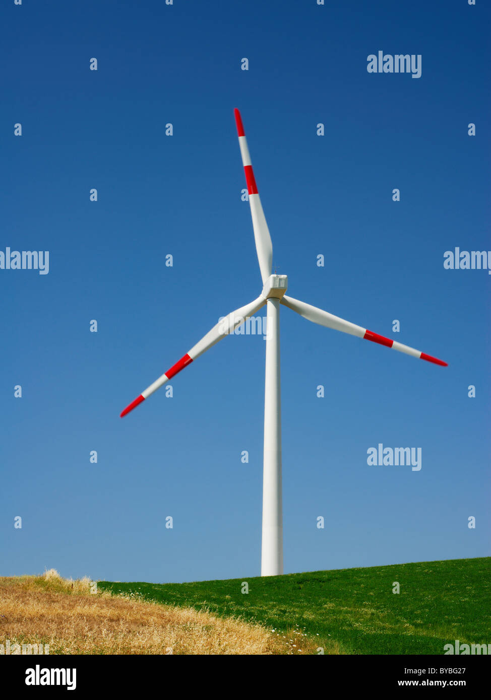 Single wind turbine in green and golden field viewed from back Stock ...