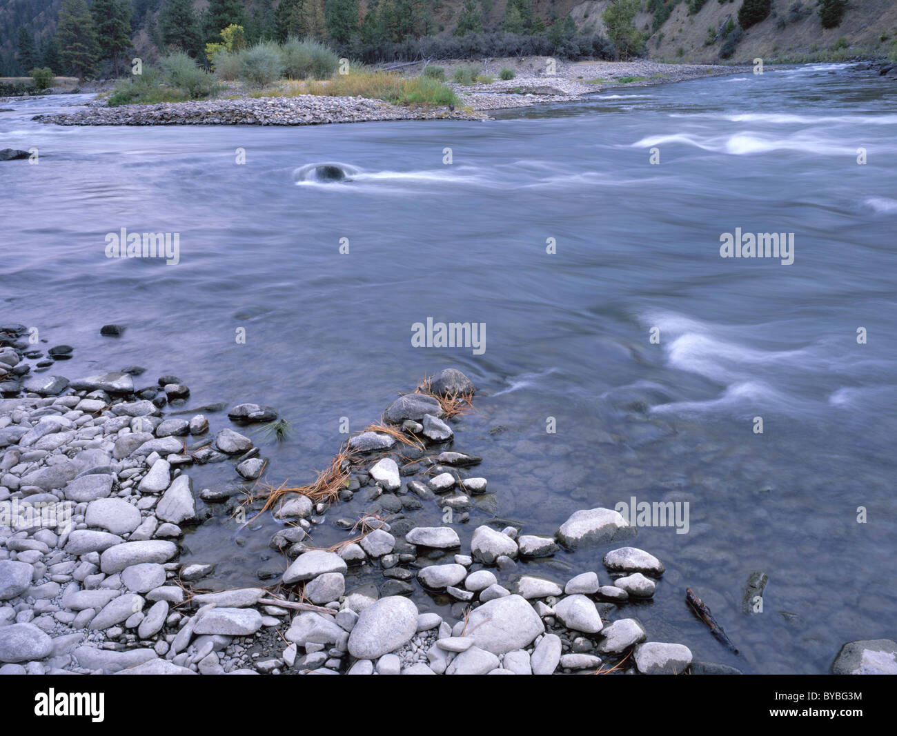Rapids, Salmon River, fall, autumn, Idaho Stock Photo - Alamy