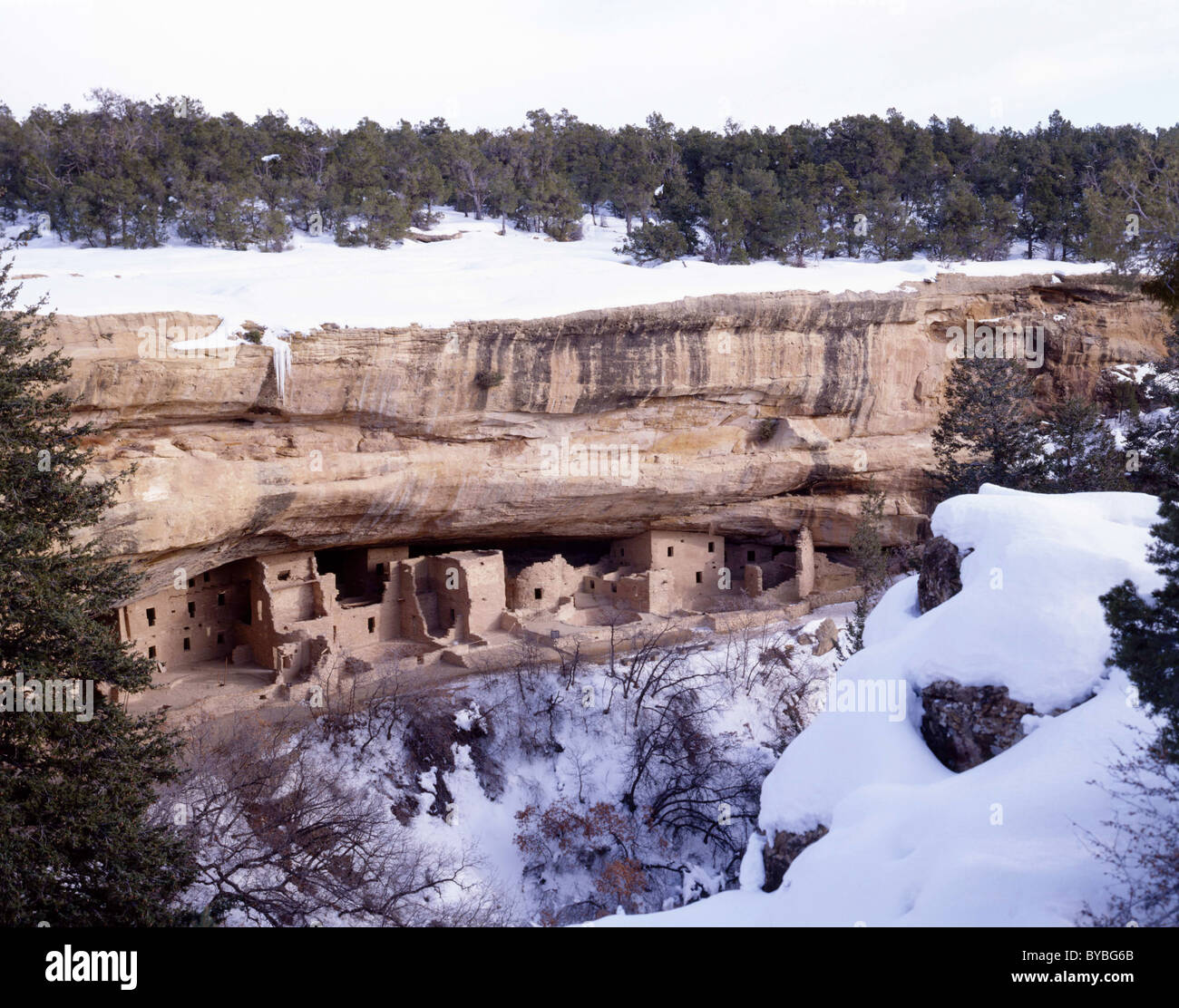 Cliff Palace, Mesa Verde National Park, Colorado Stock Photo - Alamy