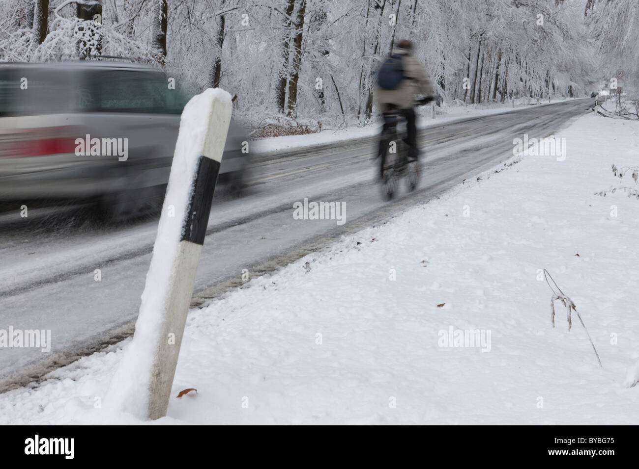 Overtaken by forest hi-res stock photography and images - Alamy