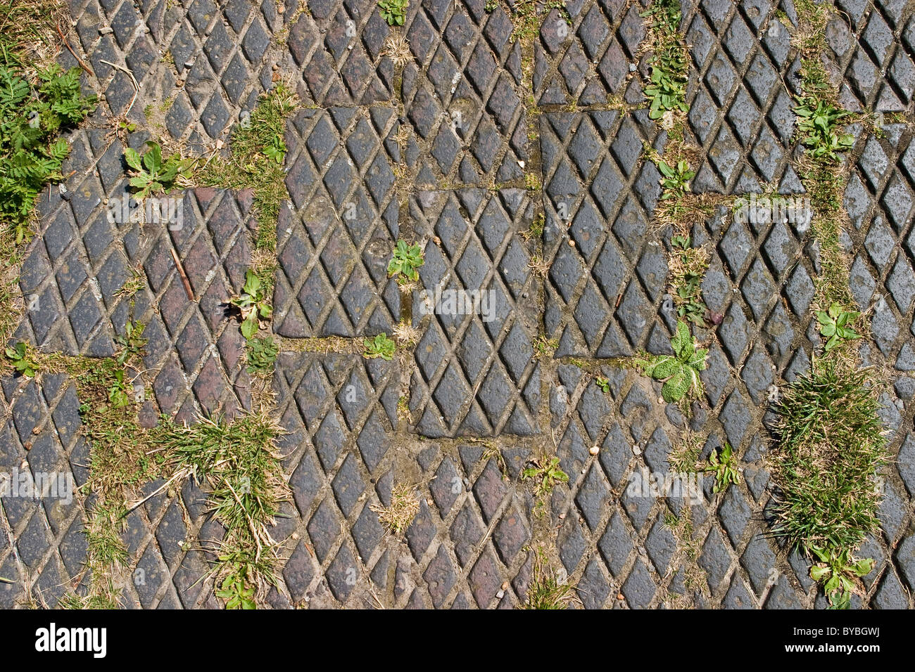 Weeds growing between paving Stock Photo - Alamy