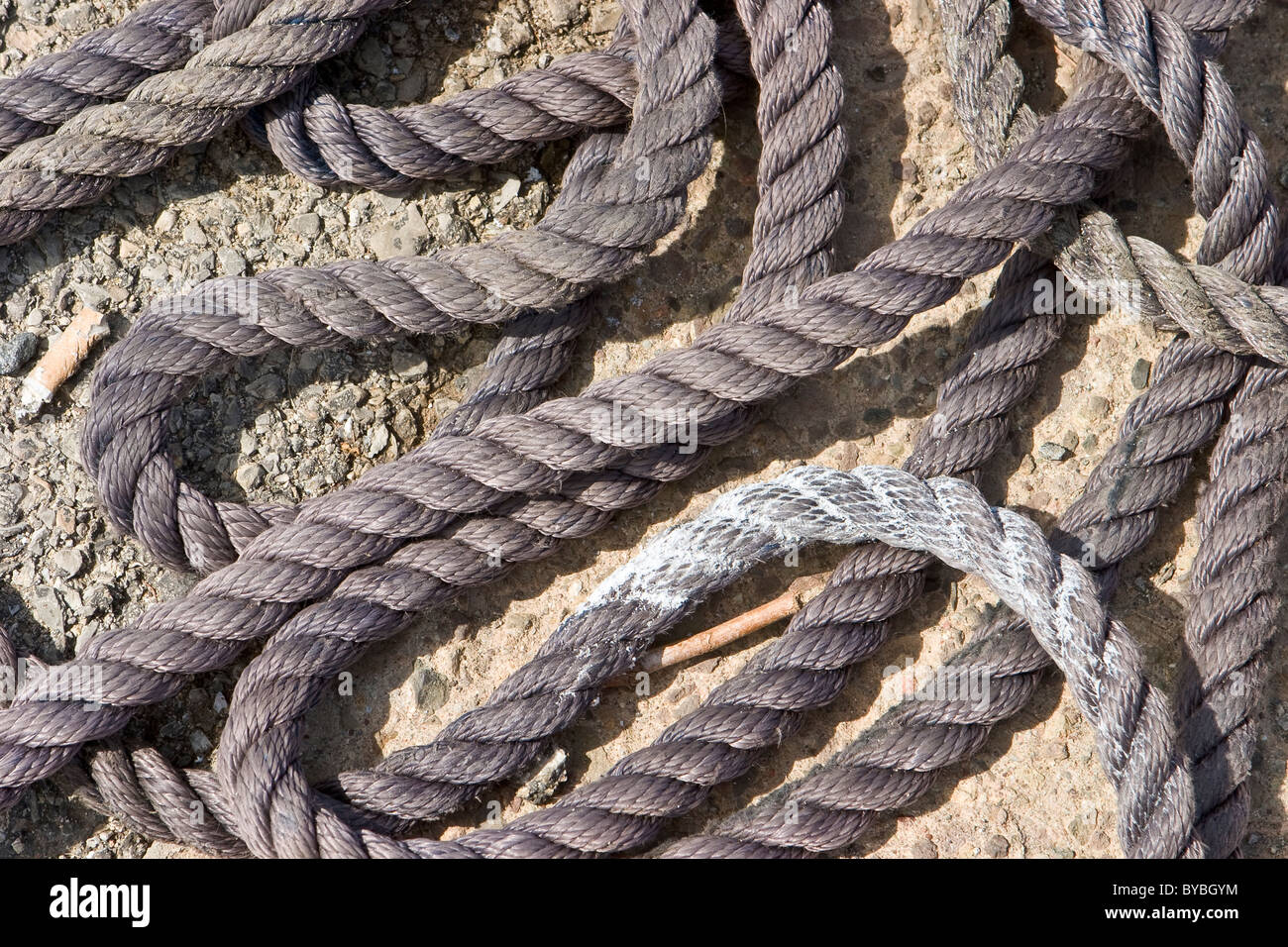 Pile of old rope Stock Photo - Alamy