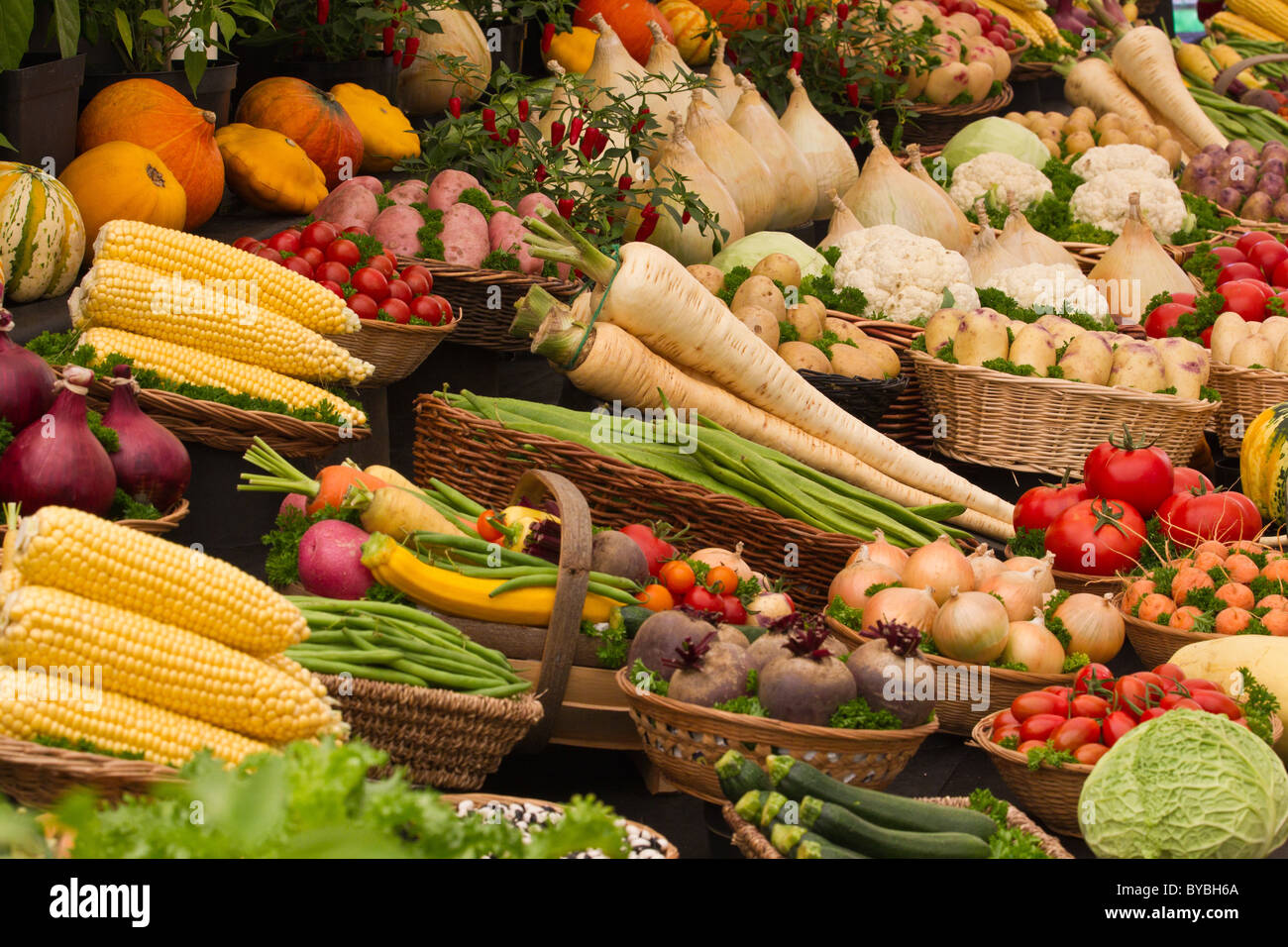 Country show hi-res stock photography and images - Alamy