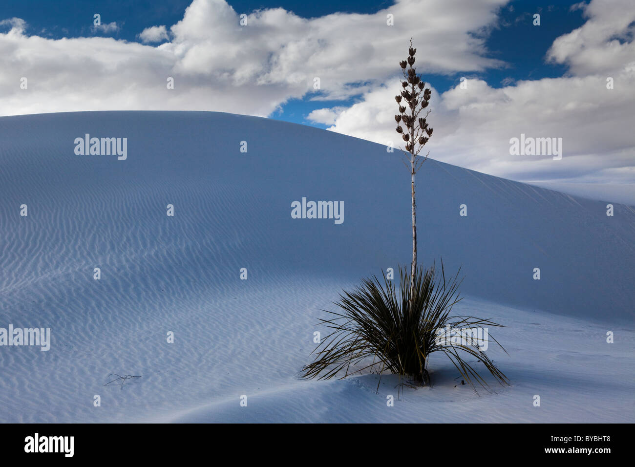 White Gypsum sand dunes in a desert with mountains, White Sands ...