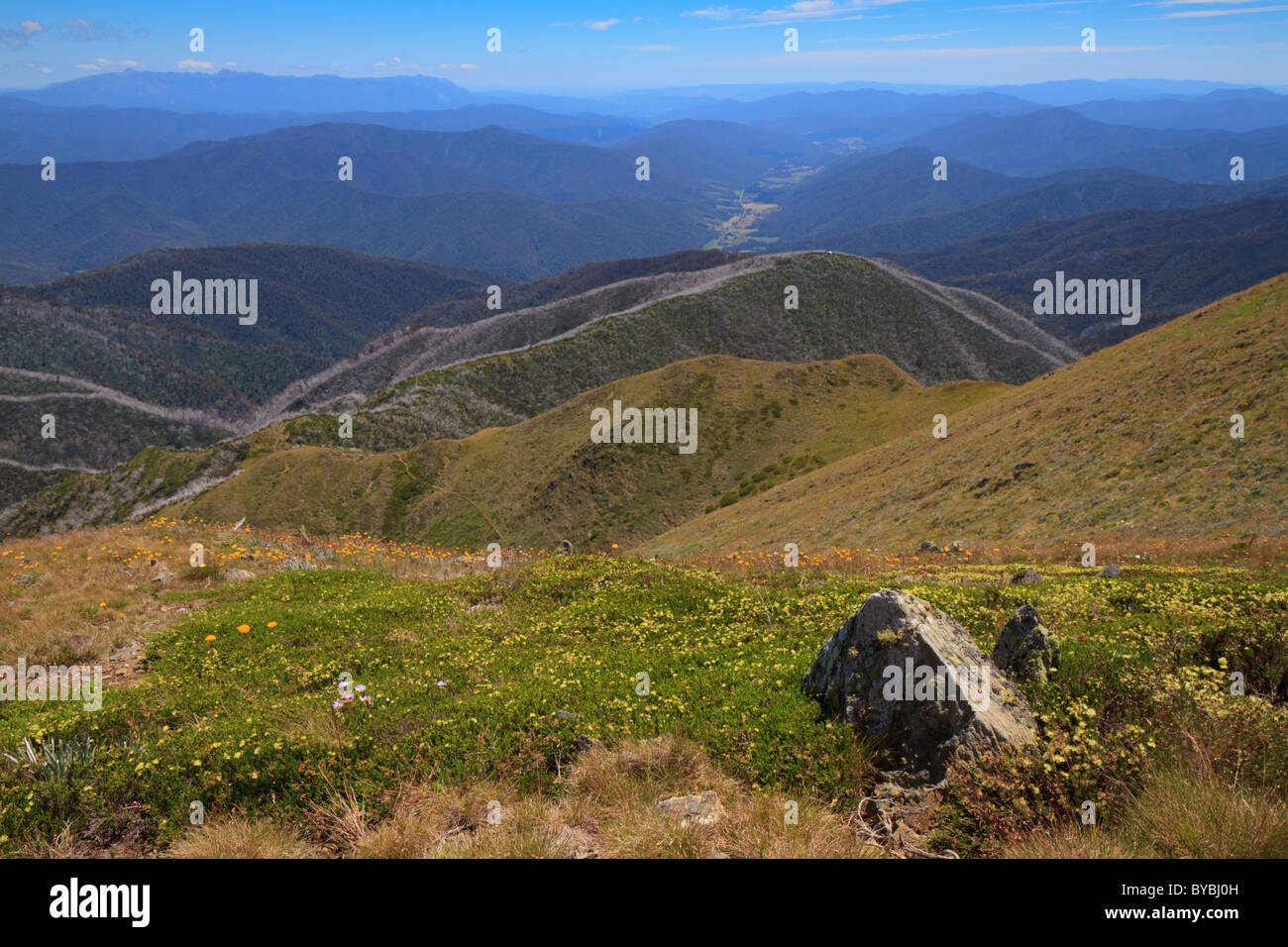 Mt Feathertop High Resolution Stock Photography and Images - Alamy
