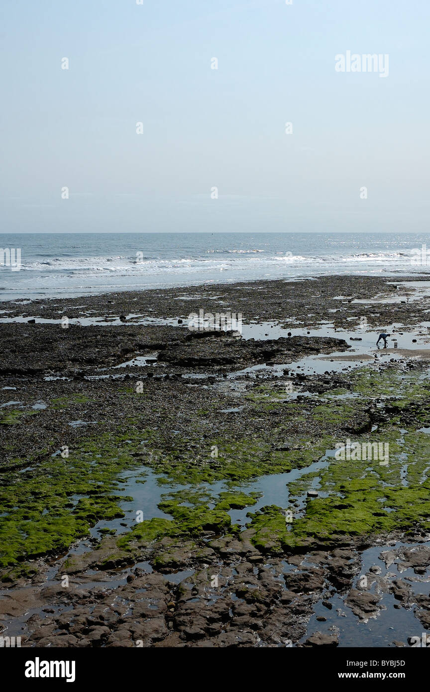 beachcomber on the beach Stock Photo - Alamy