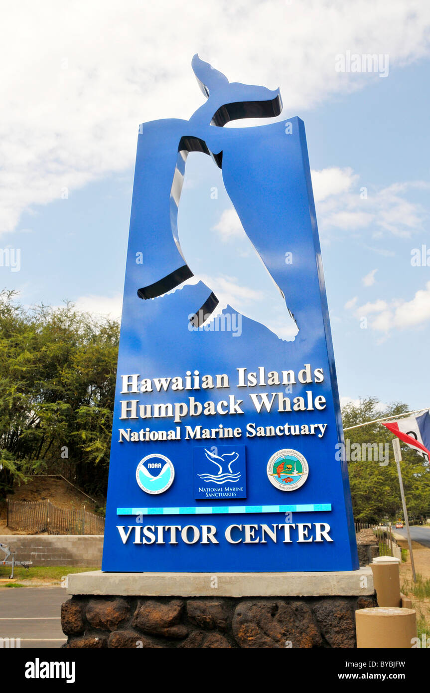 Hawaii Humpback Whale Sanctuary