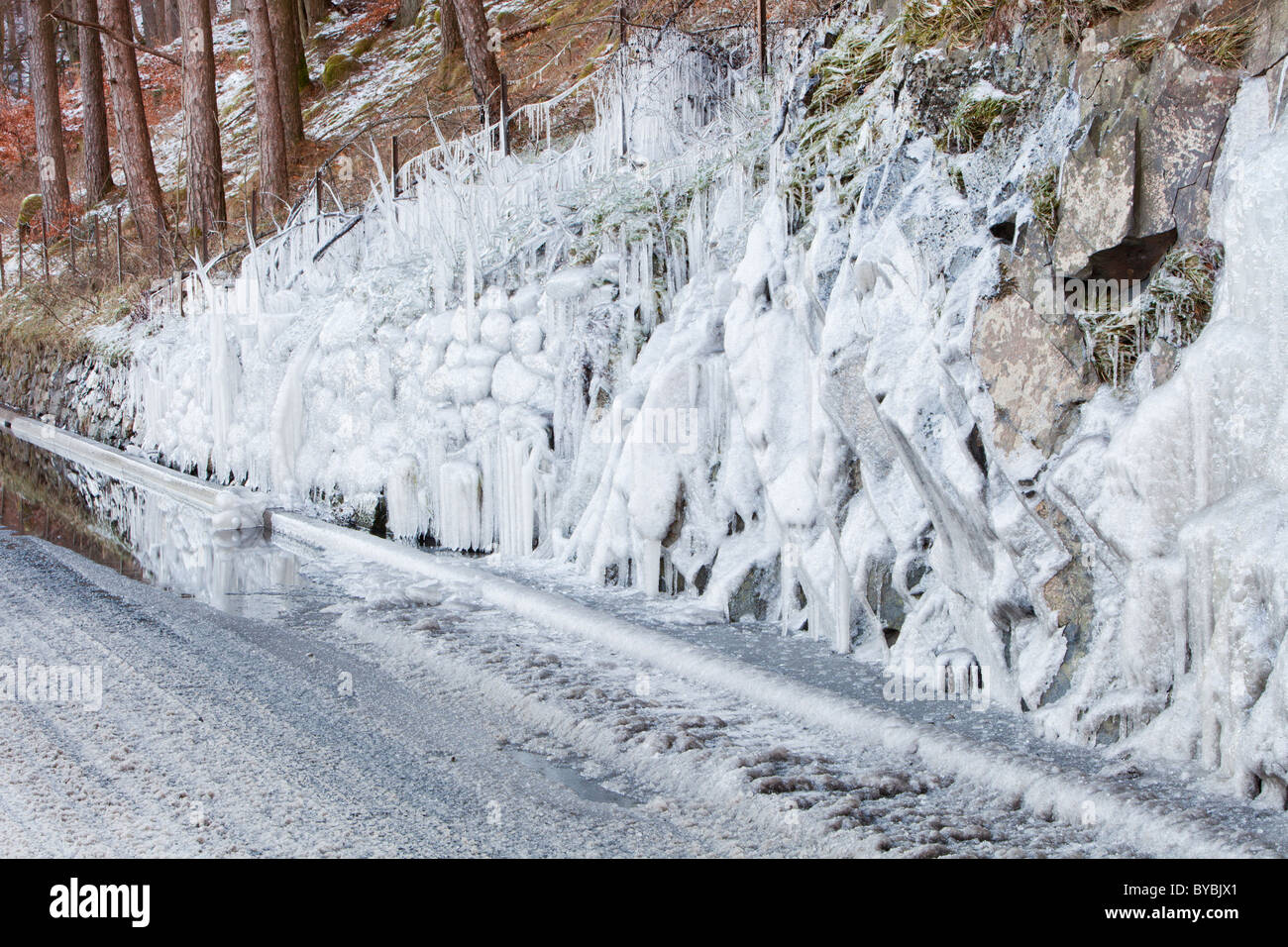Ice coating everything on a road side verge near Keswick in the Lake ...