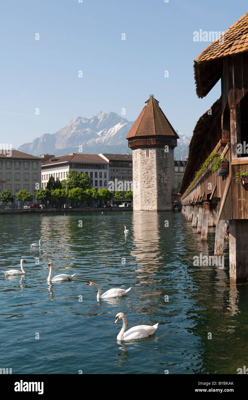 Kappel High Resolution Stock Photography and Images - Alamy