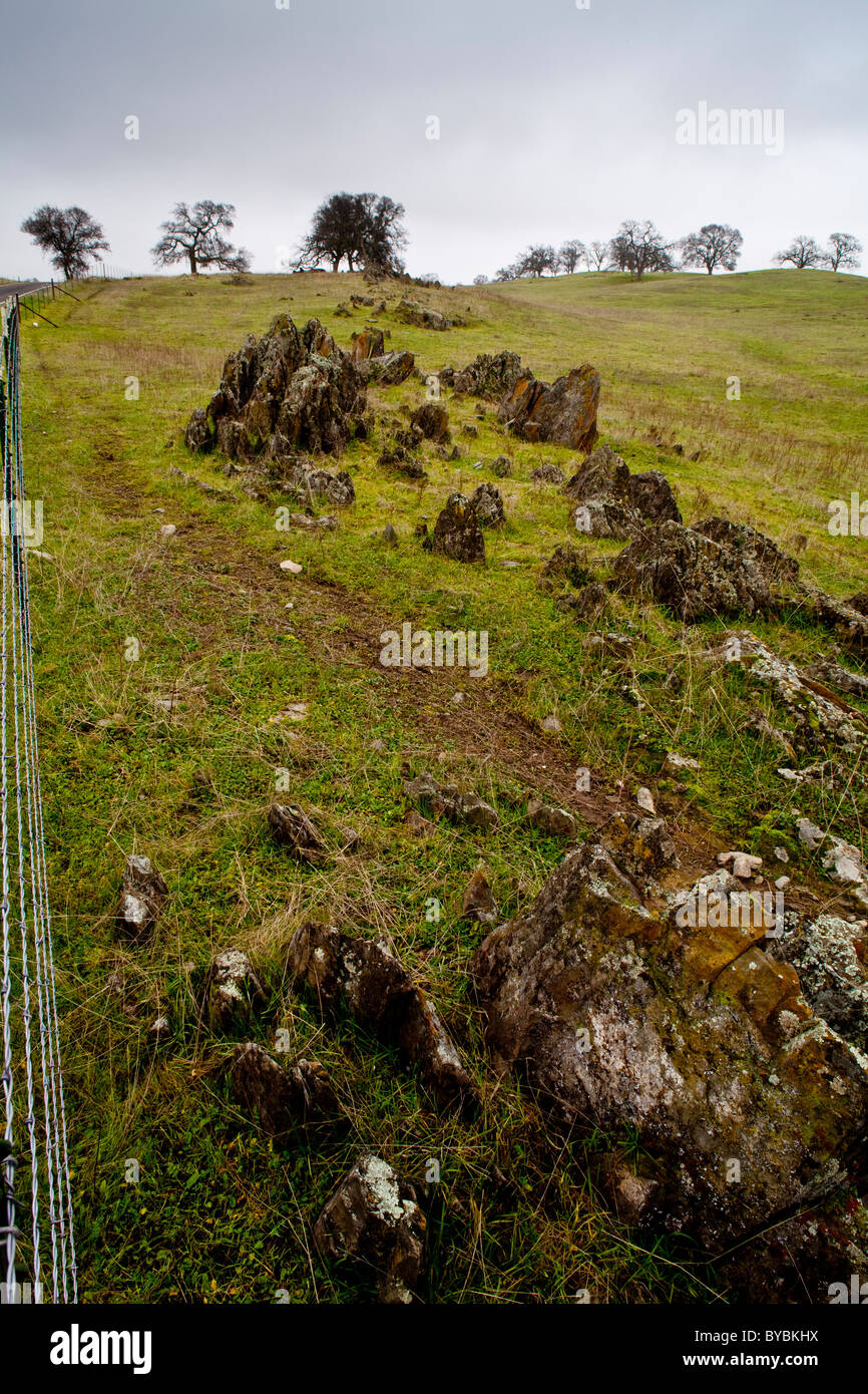 A spiny rock outcropping with Oak trees in the distance taken in the ...