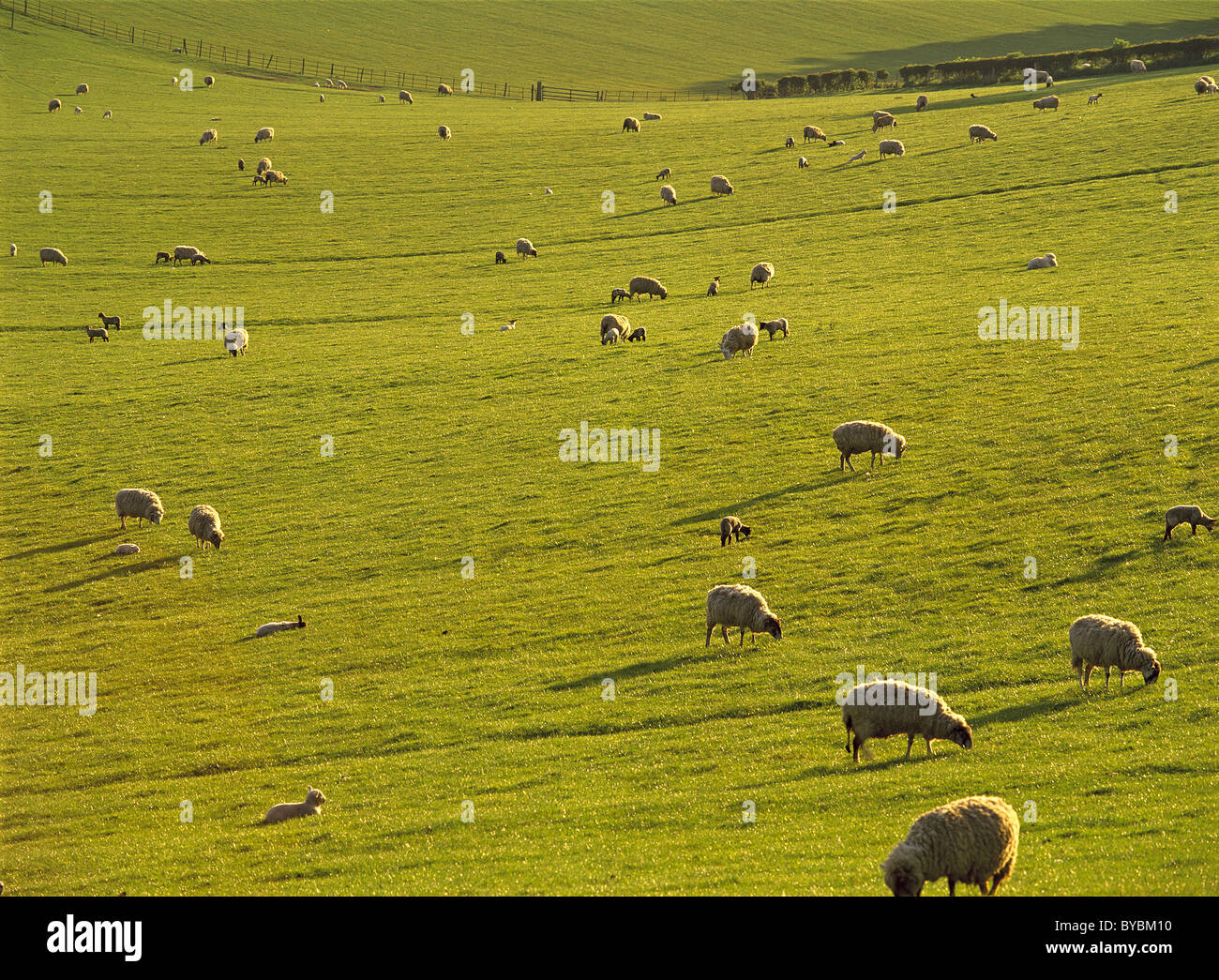 Redhill surrey hi-res stock photography and images - Alamy