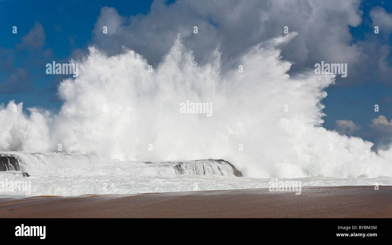 Explosive wave. A large Pacific Ocean wave crashes ashore at Lumahai ...