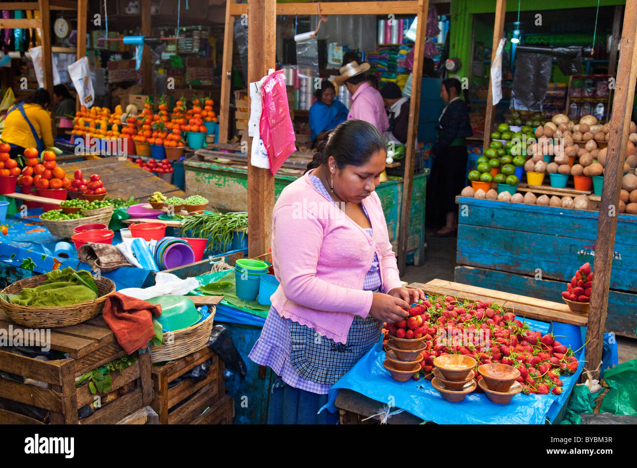 Fruit vendor, Mercado Municipal, San Cristobal de las Casas, Chiapas ...