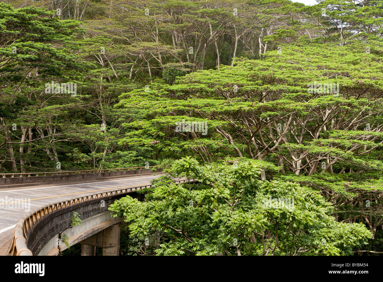 Kalihiwai river bridge hi-res stock photography and images - Alamy