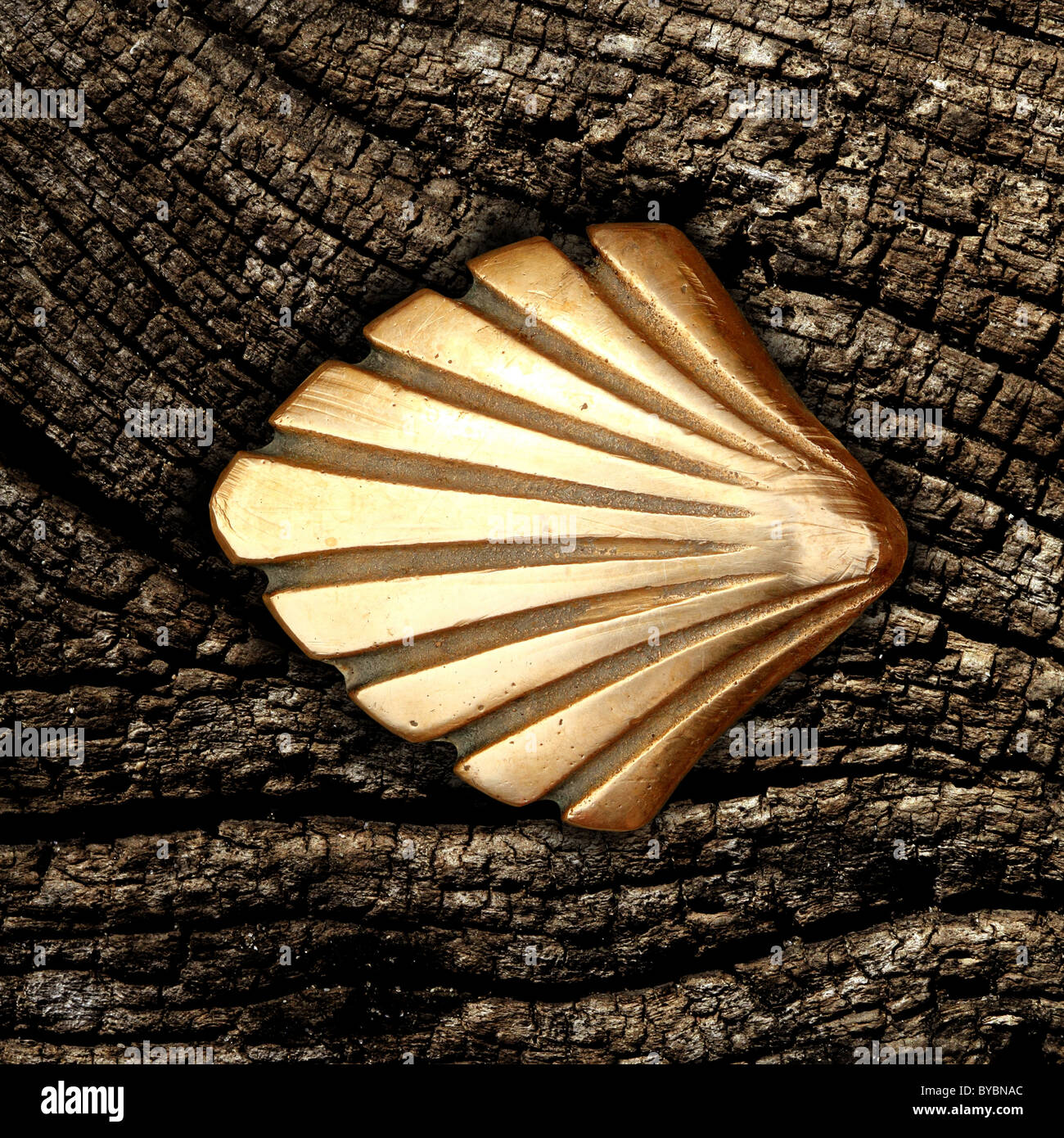 Saint James way shell golden metal on streets soil stone floor Stock ...