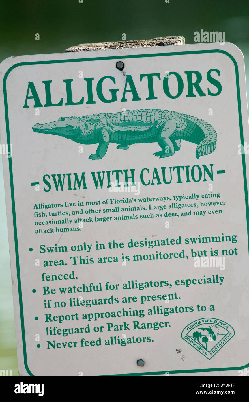 Alligator Warning Sign. Myakka River State Park, Florida, USA Stock ...
