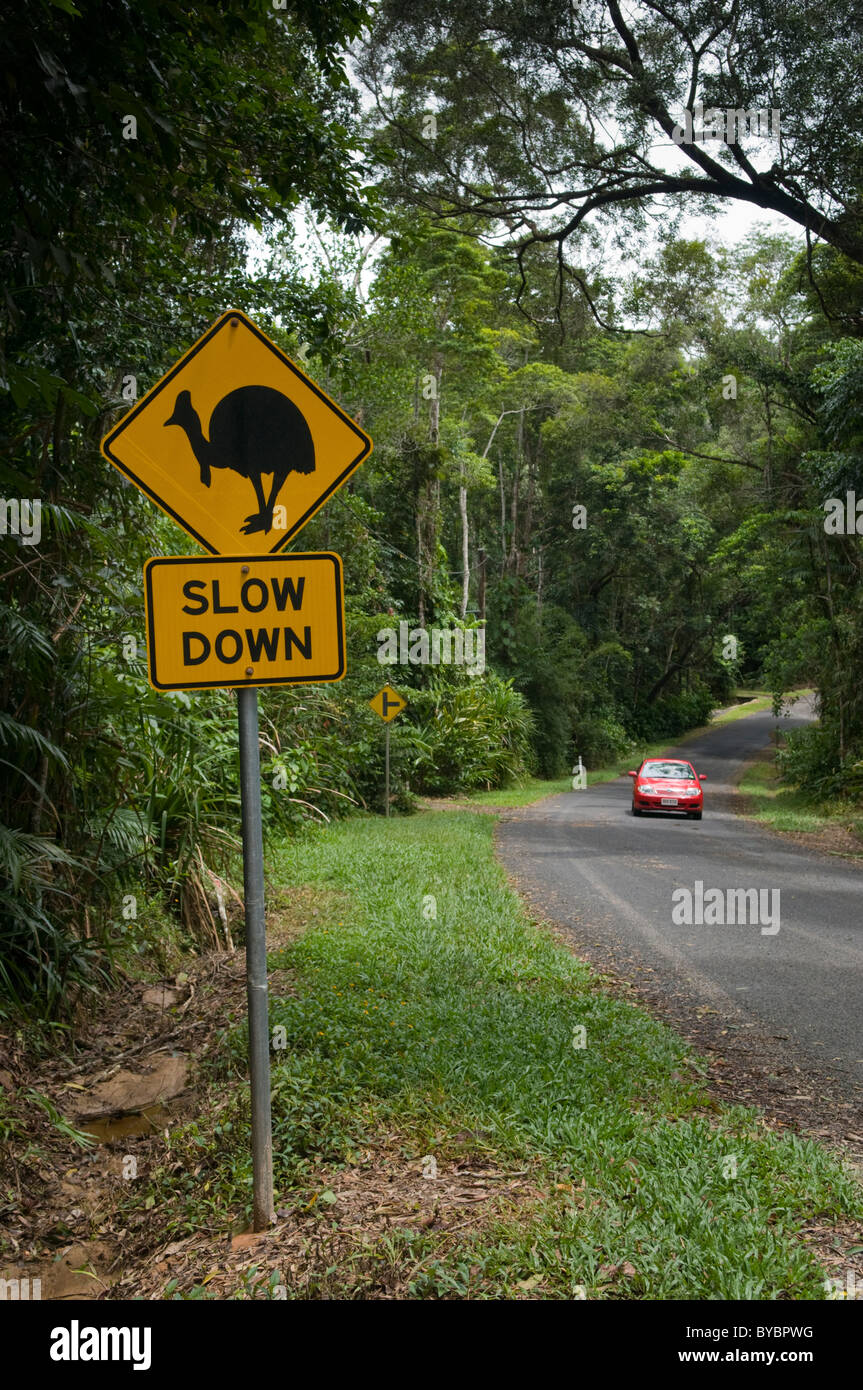 Casuarius cassowary caution road sign hi-res stock photography and ...