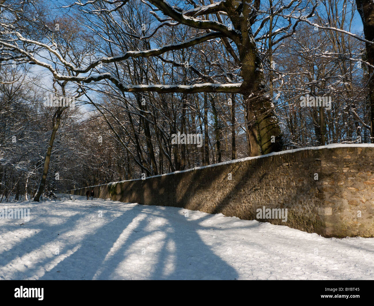 Meudon Forest Hauts-de-Seine France Stock Photo - Alamy