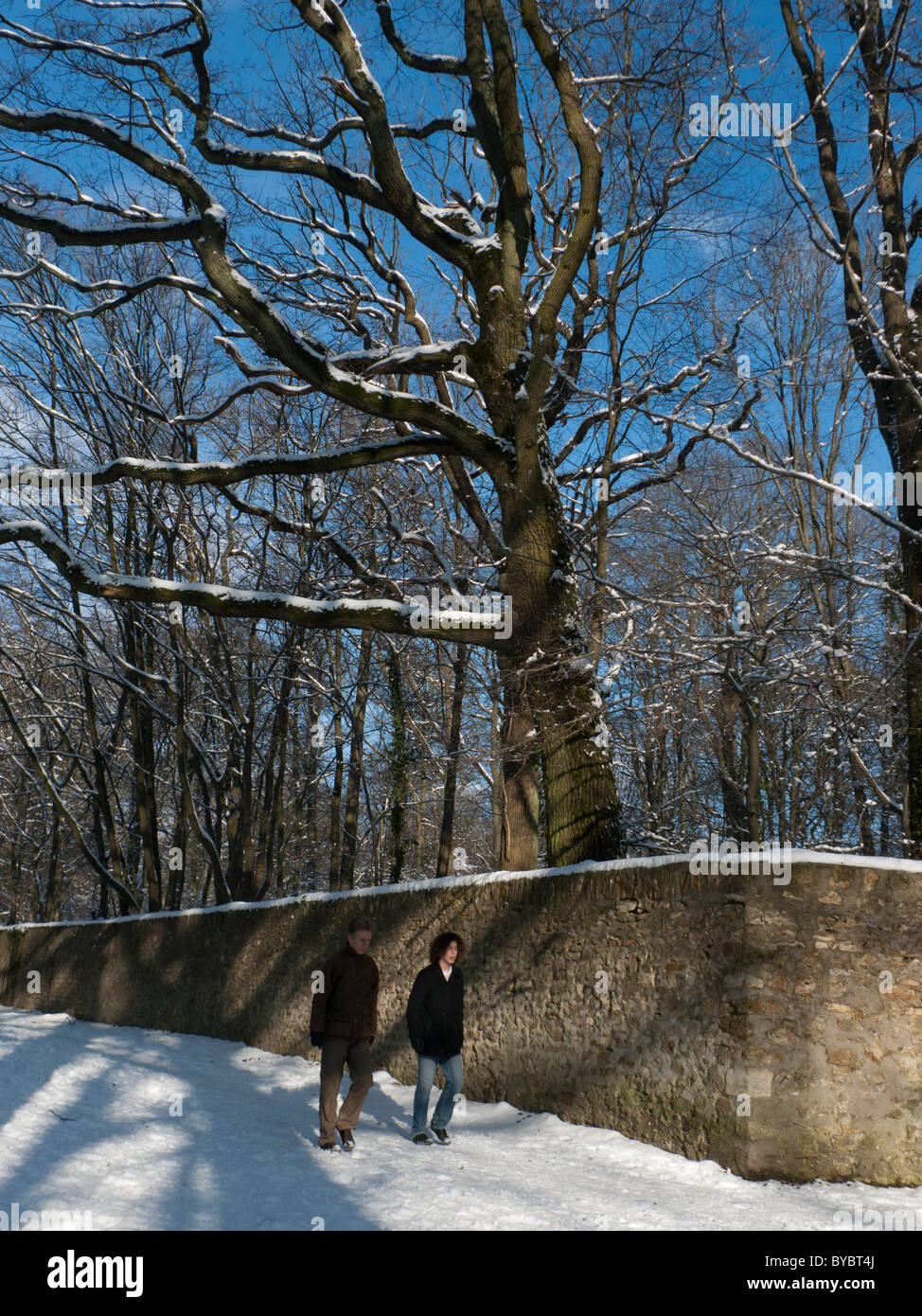Meudon Forest Hauts-de-Seine France Stock Photo - Alamy
