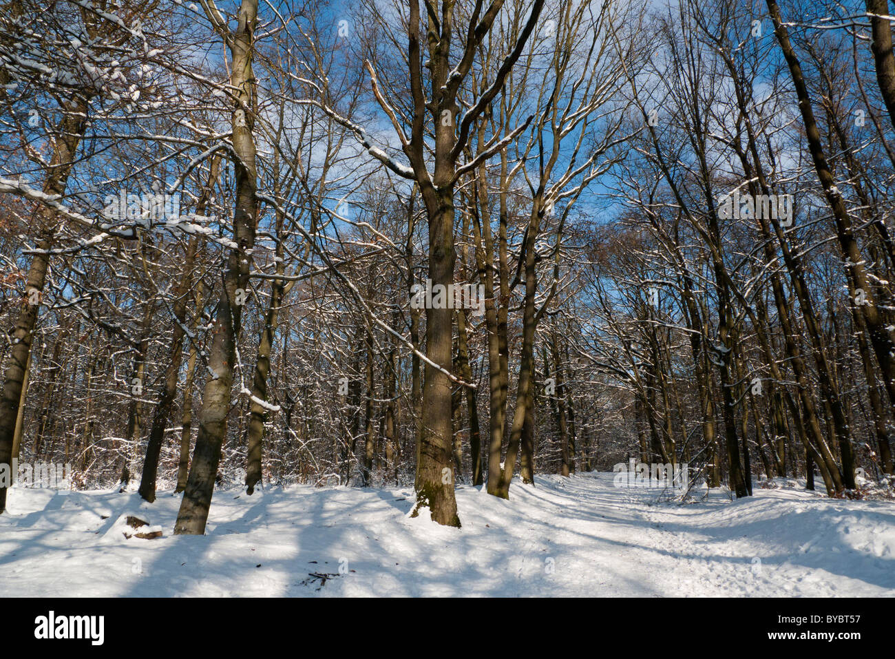 Meudon hi-res stock photography and images - Alamy