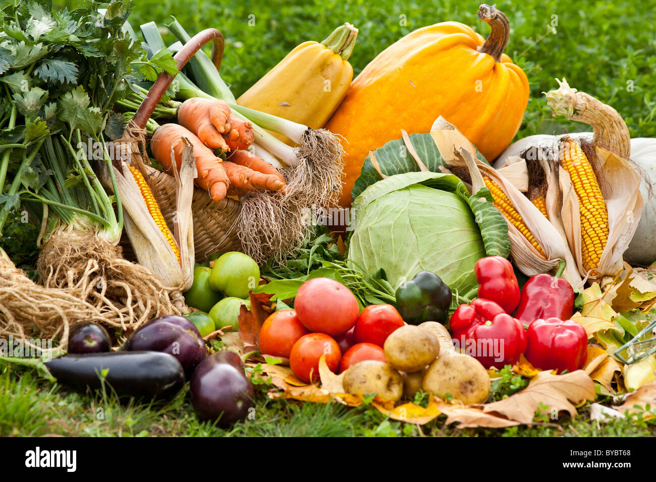 Pile of various raw fresh vegetables outdoor in grass Stock Photo - Alamy