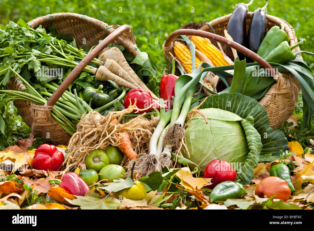 Pile of various raw fresh vegetables outdoor in grass Stock Photo - Alamy