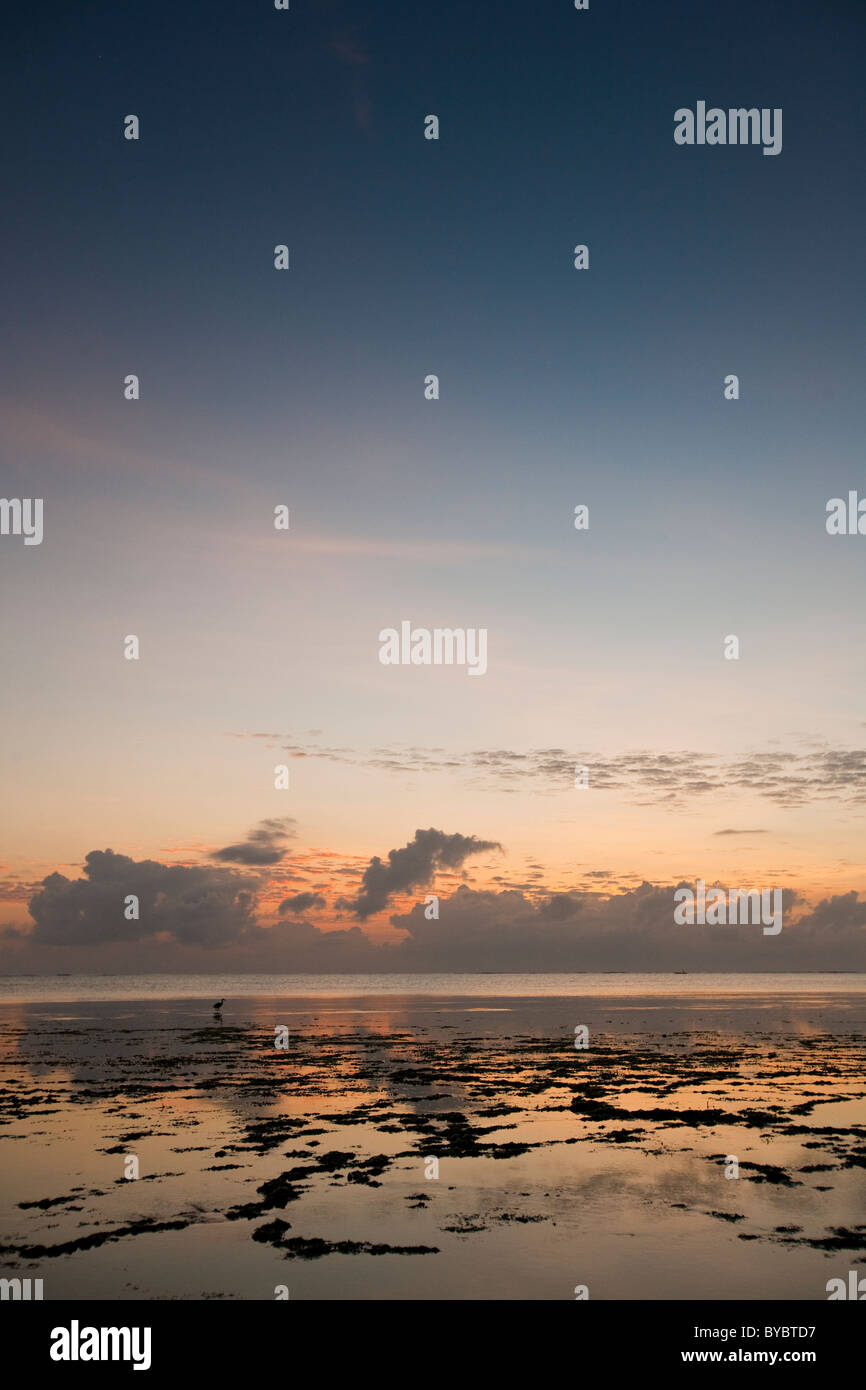 Indian Ocean off the coast of Zanzibar Stock Photo - Alamy