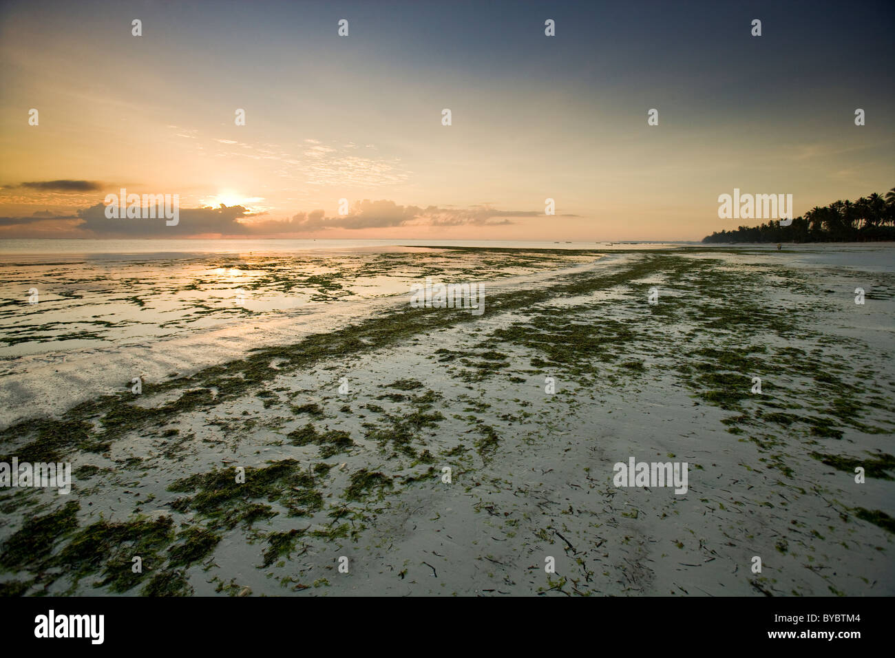 Indian Ocean off the coast of Zanzibar Stock Photo - Alamy