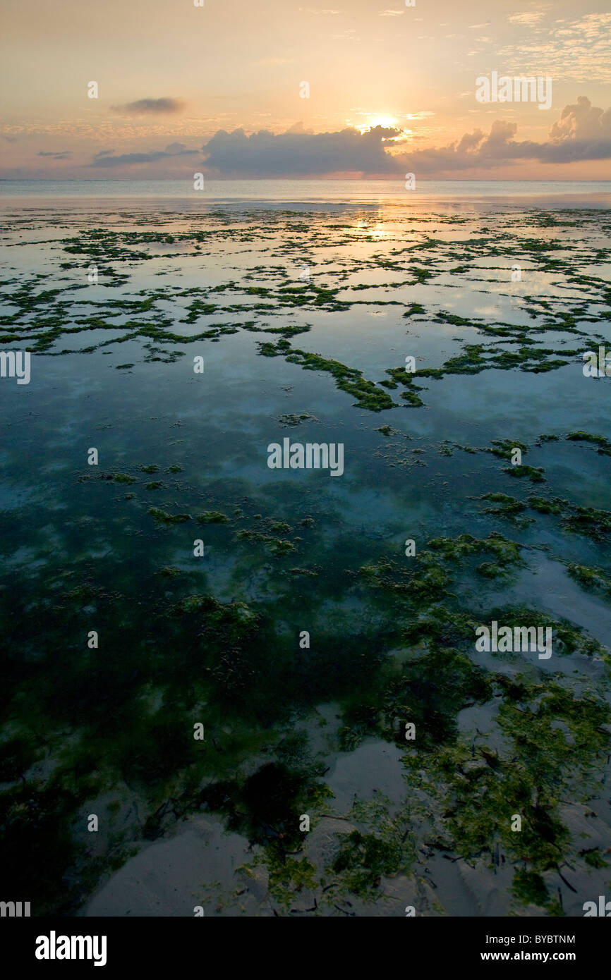 Indian Ocean off the coast of Zanzibar Stock Photo - Alamy