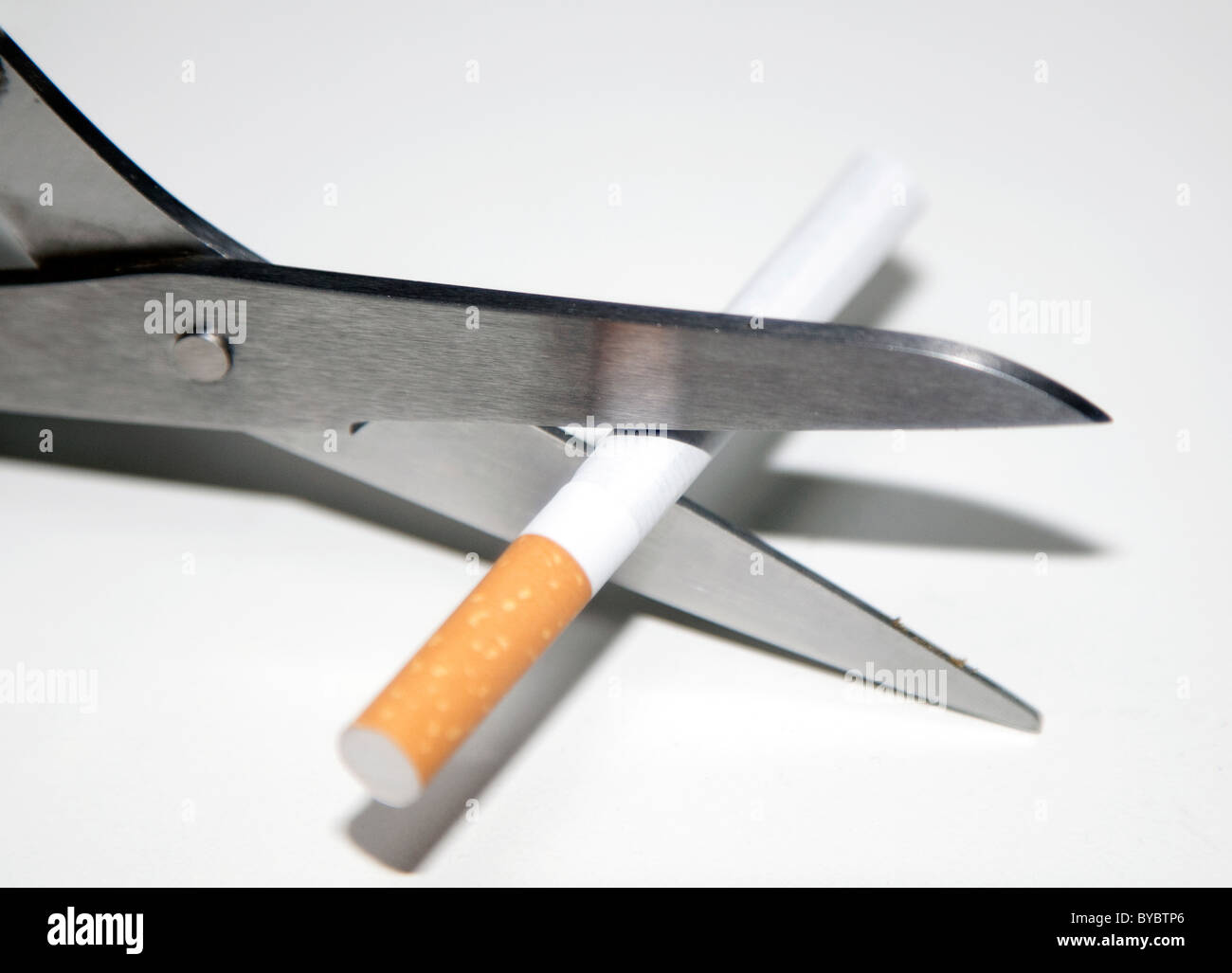 Smoking cigarettes hi-res stock photography and images - Alamy