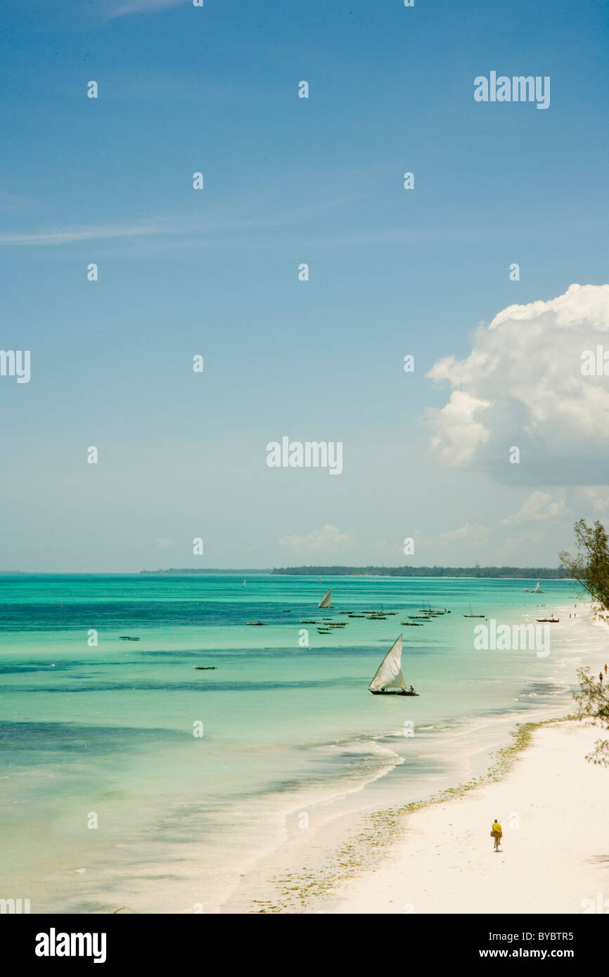 Indian Ocean off the coast of Zanzibar Stock Photo - Alamy