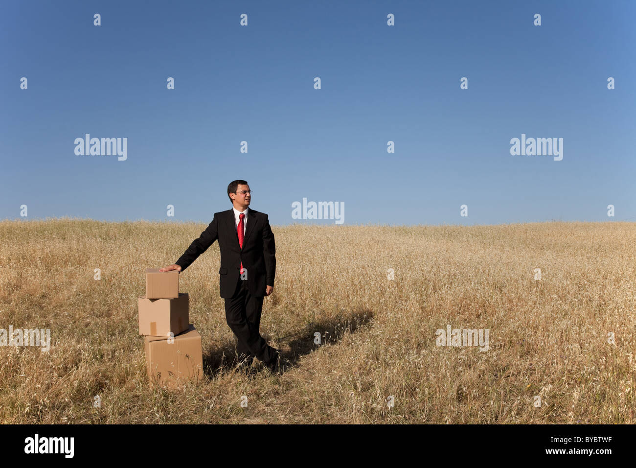 businessman with a stack of boxes at the field Stock Photo - Alamy