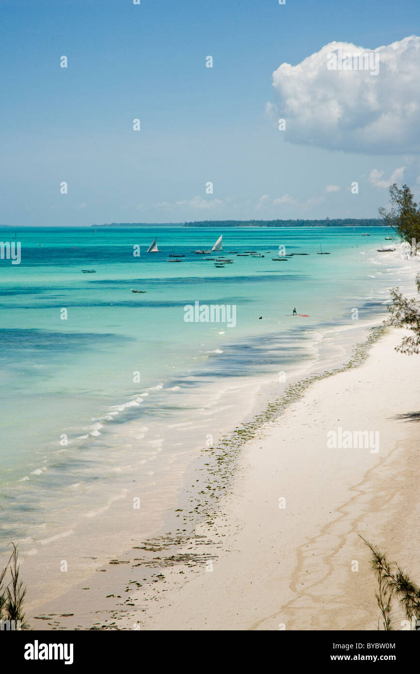 Indian Ocean off the coast of Zanzibar Stock Photo - Alamy
