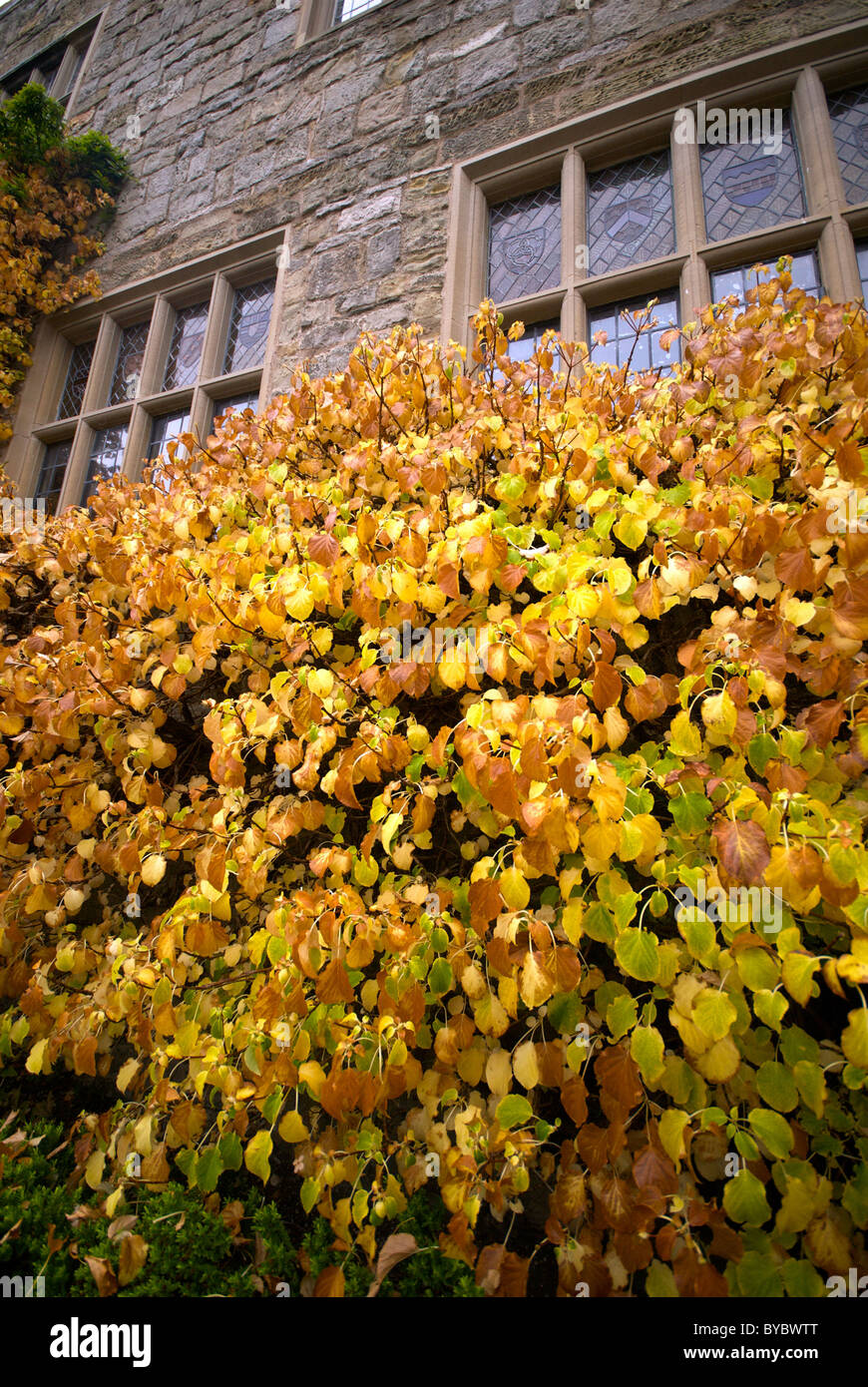 Chirk Castle Wrexham UK National Trust Property Stock Photo - Alamy