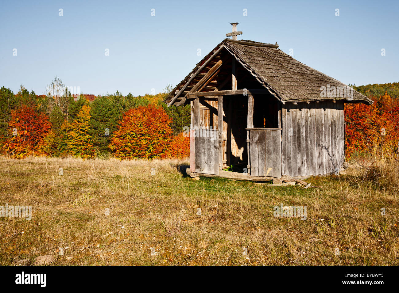 Wooden vintage shack near the forest in autumn Stock Photo - Alamy