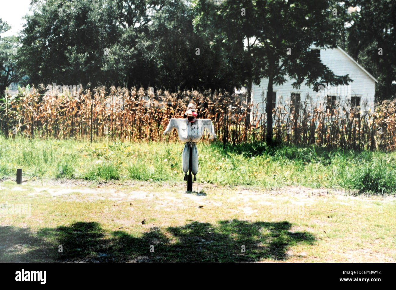 Farm house corn field hi-res stock photography and images - Alamy